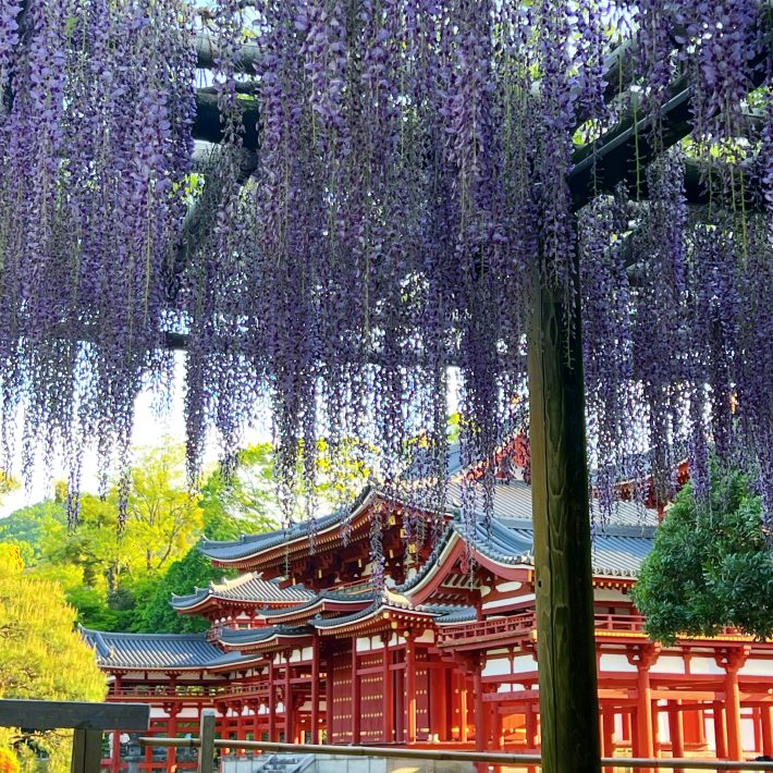 平等院鳳凰堂 | スタッフブログ | 京つけもの・味噌 田辺宗